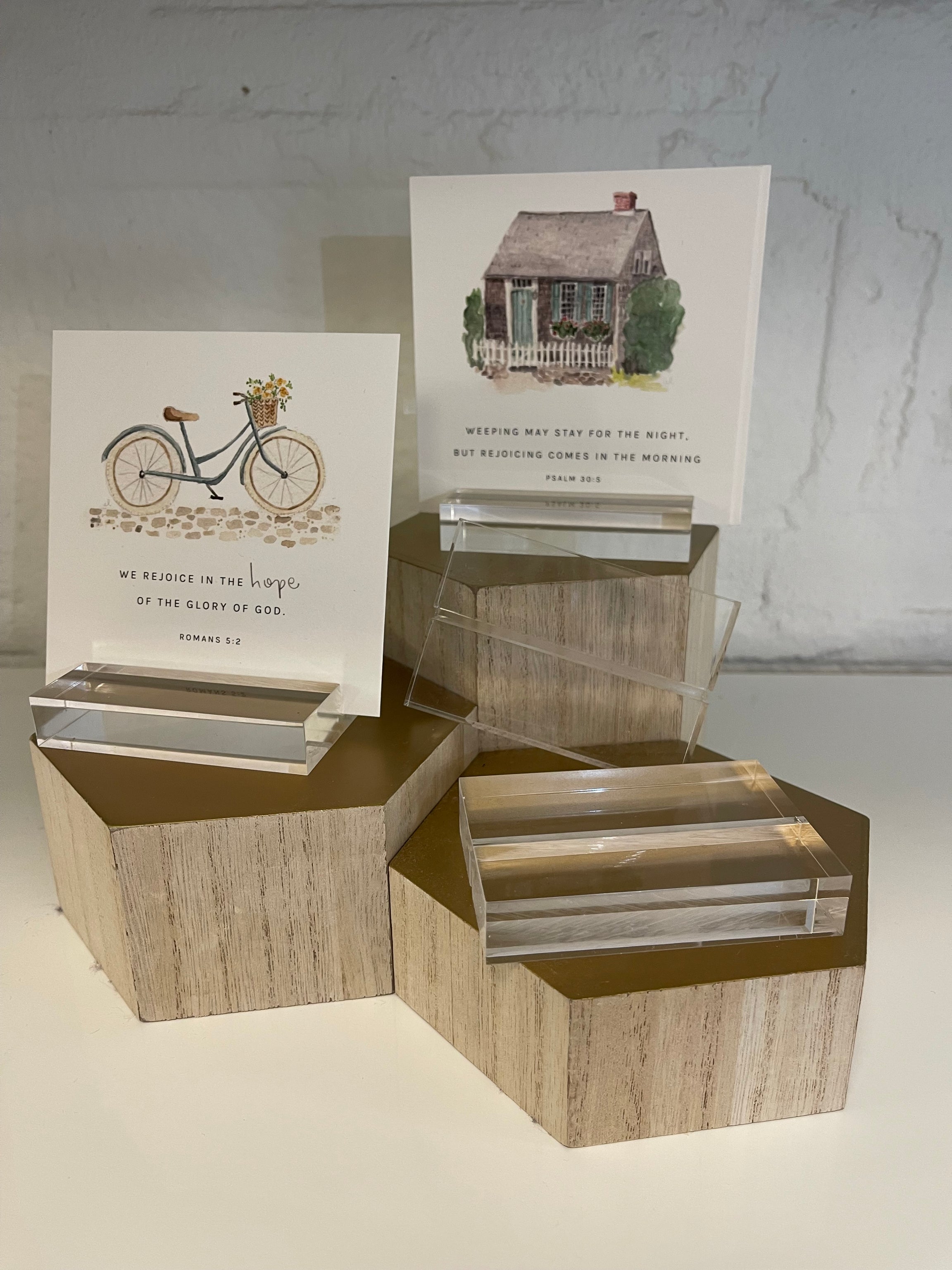 Emily Lex Studio Scripture Cards – Honey Bee Tees